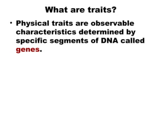 Traits | PPT