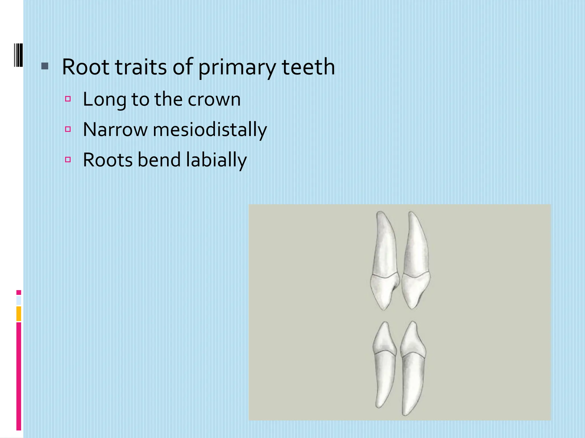traits describing tooth preferances .pdf
