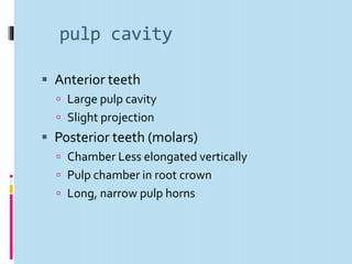 traits describing tooth preferances .pdf