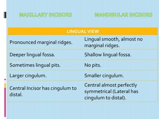 traits describing tooth preferances .pdf