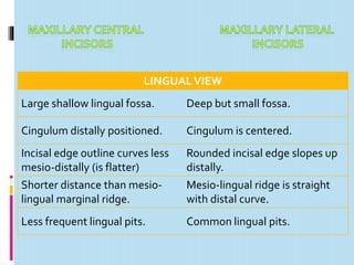 traits describing tooth preferances .pdf
