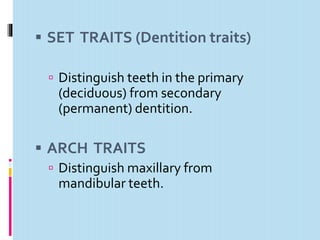 traits describing tooth preferances .pdf