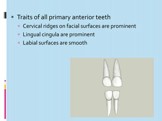 traits describing tooth preferances .pdf