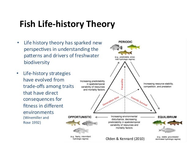 Beyond taxonomy: A traits-based approach to fish community ecology