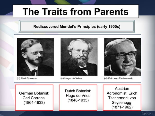 Traits From Parents | PPT