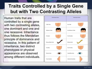 Traits From Parents | PPT