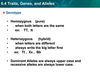 traits_genes_and_alleles.ppt
