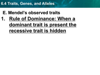 traits_genes_and_alleles.ppt