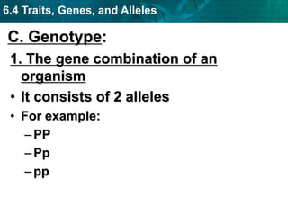 traits_genes_and_alleles.ppt