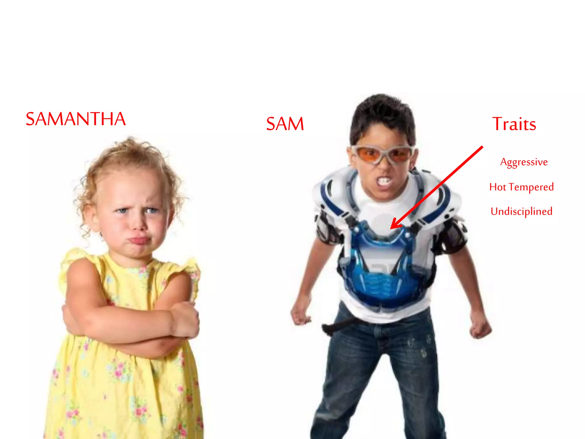 Trait theories personality theories | PPTX