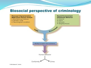 Trait theory | PPTX