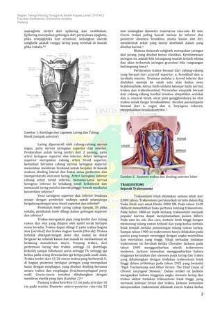 Trakeostomi dan krikotirotomi | PDF