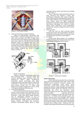 Trakeostomi dan krikotirotomi | PDF