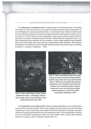 Trakya Bölgesi Tarihi Yapılarında Kullanılan Karbonatlı Taşların ...