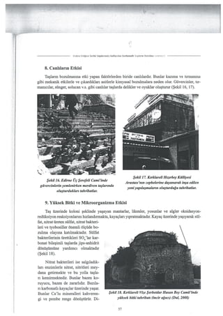 Trakya Bölgesi Tarihi Yapılarında Kullanılan Karbonatlı Taşların ...