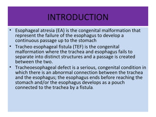 Trancheosophagial | PPT