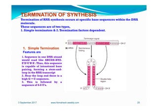 trancription of prokaryotes and eukaryotes pdf upload | PPT