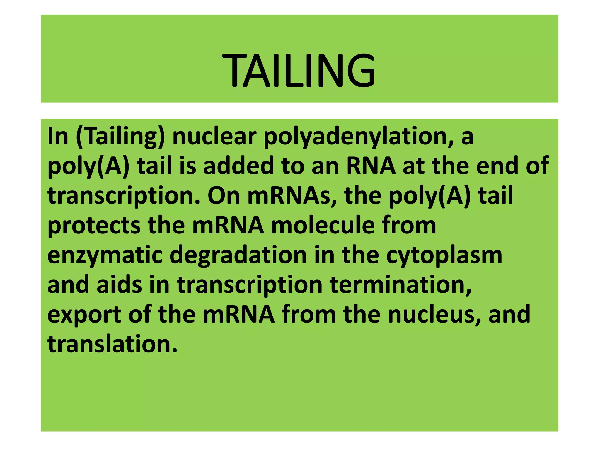 TRANSCRIPTION MECHANISM. | PPT