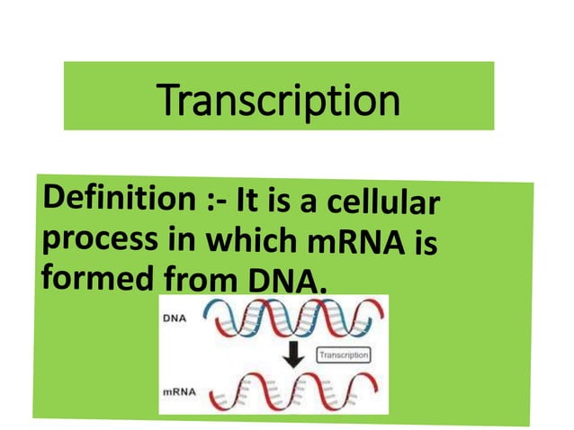 TRANSCRIPTION MECHANISM. | PPT