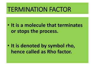 TRANSCRIPTION MECHANISM. | PPT