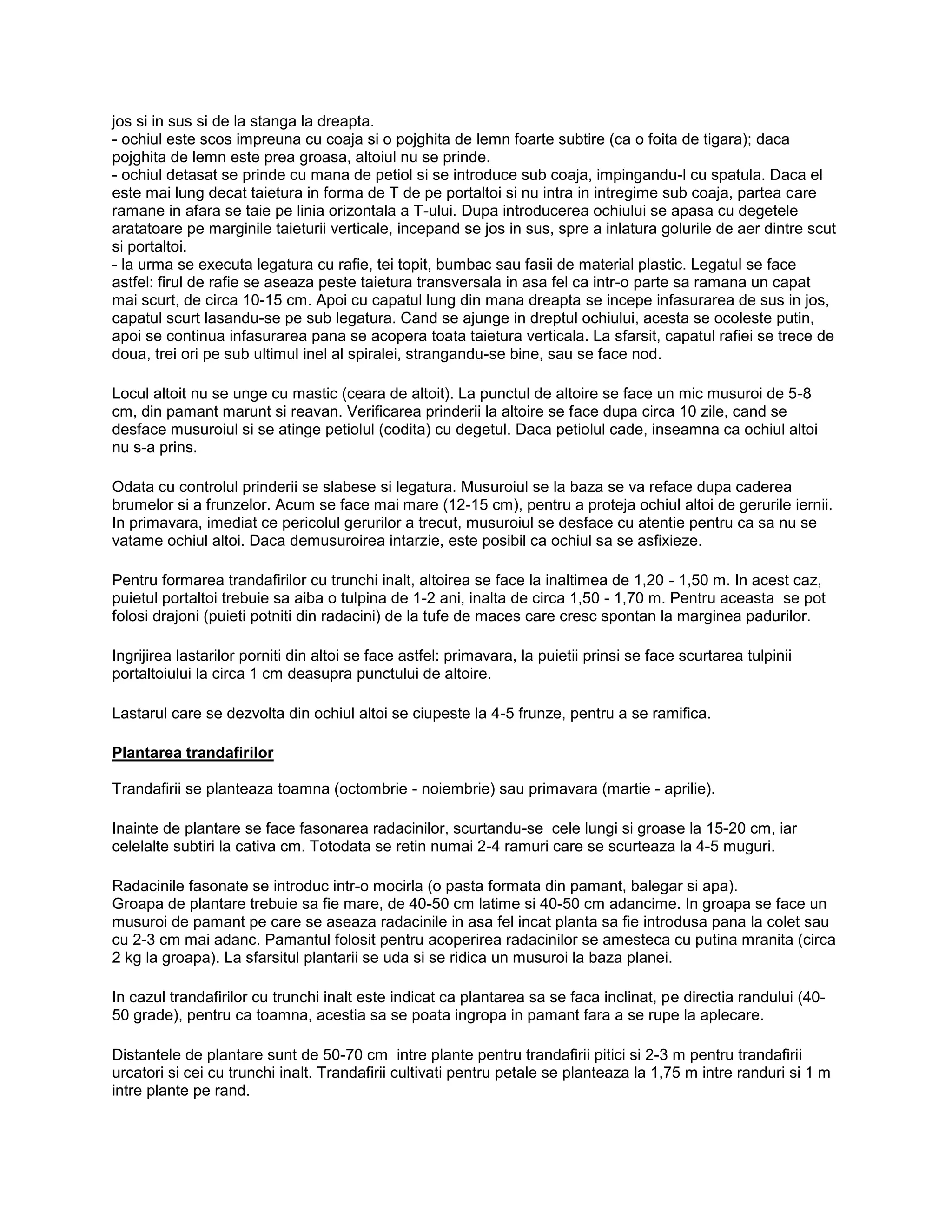 Trandafiri ingrijire inmultire | DOCX