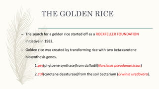 Trangenic rice | PPTX
