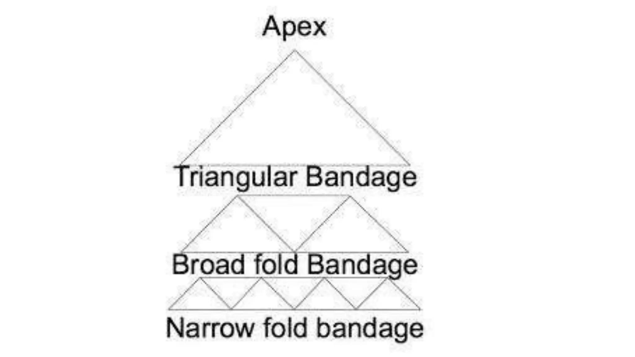 Trangular Bandagers.pptx