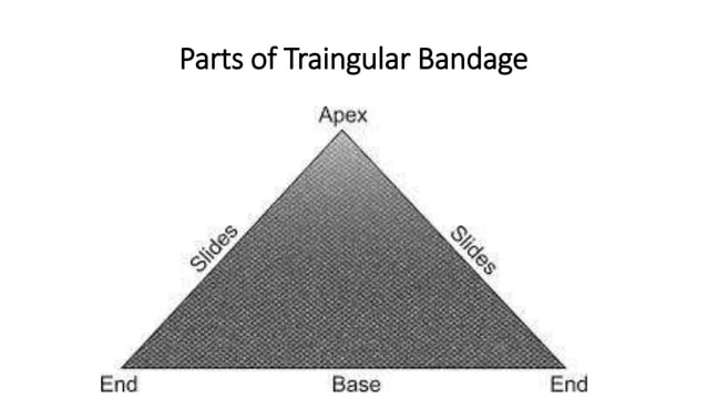 Trangular Bandagers.pptx