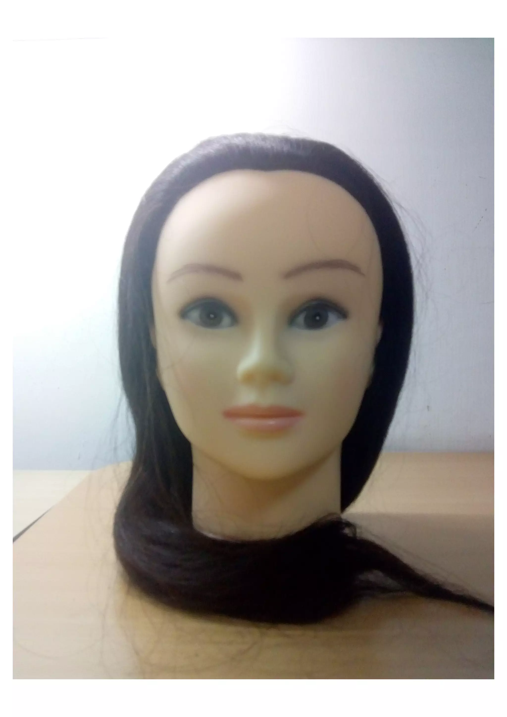 Traning head 20 inch | PDF
