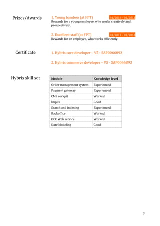 Tran Minh Duc - Certified Hybris Dev | PDF