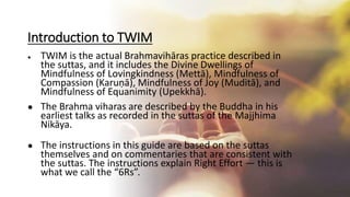 Tranquil Wisdom Insight Meditaion (TWIM).pptx