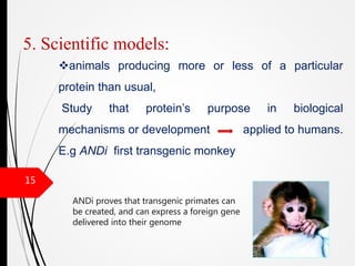 The Role of Transgenic Animals in Biomedical Research | PPTX