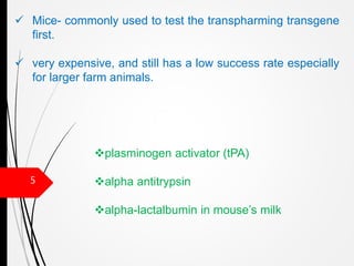 The Role of Transgenic Animals in Biomedical Research | PPTX