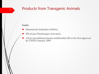 The Role of Transgenic Animals in Biomedical Research | PPTX