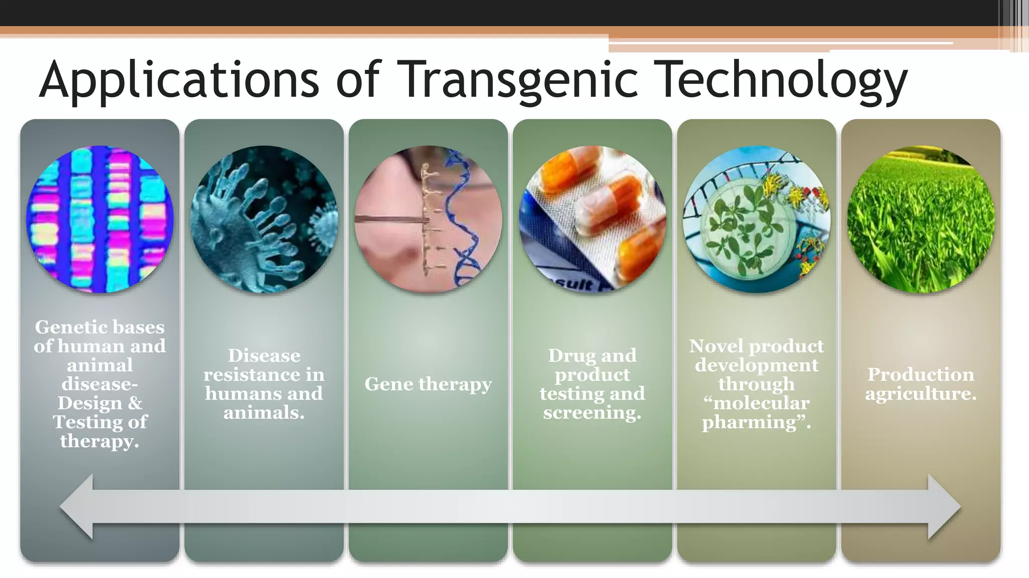 Transgenic technology | PPTX