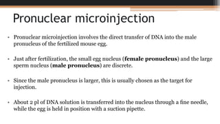 Transgenic technology | PPTX | Reproductive Health | Diseases and ...