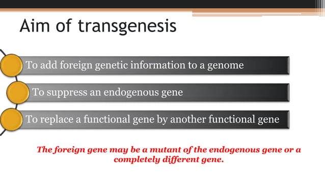 Transgenic technology | PPTX | Reproductive Health | Diseases and ...