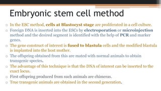 Transgenic technology | PPTX | Reproductive Health | Diseases and ...