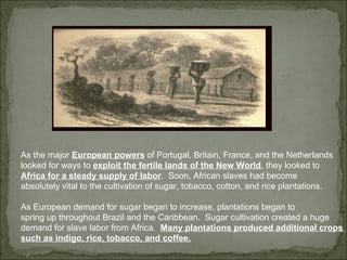 Trans atlantic slave trade2011 | PPT