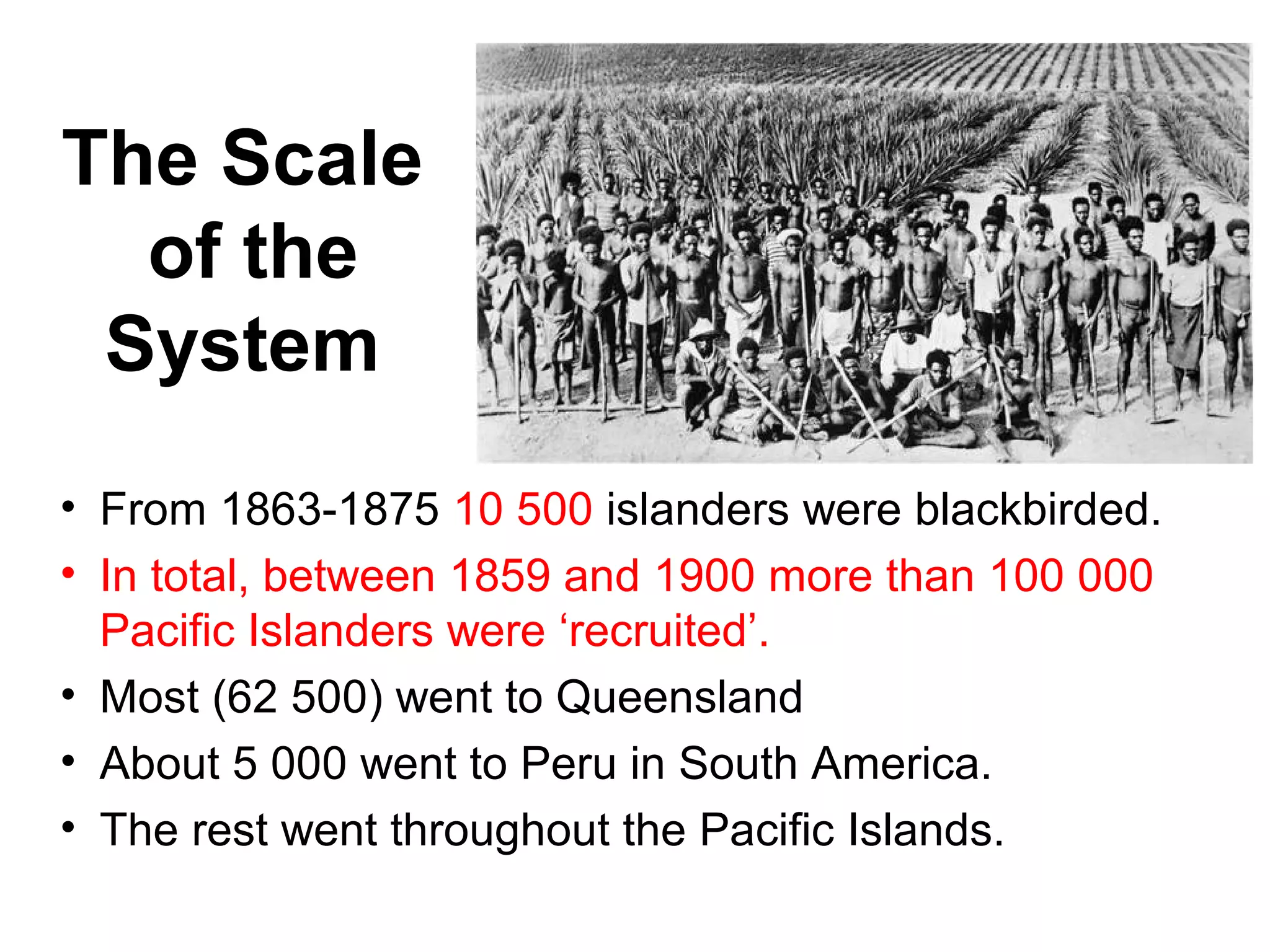 Trans atlantic slave trade + blackbirding | PPT