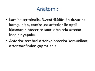 Frontobasal i̇nterhemispheric approach for large suprasellar ...