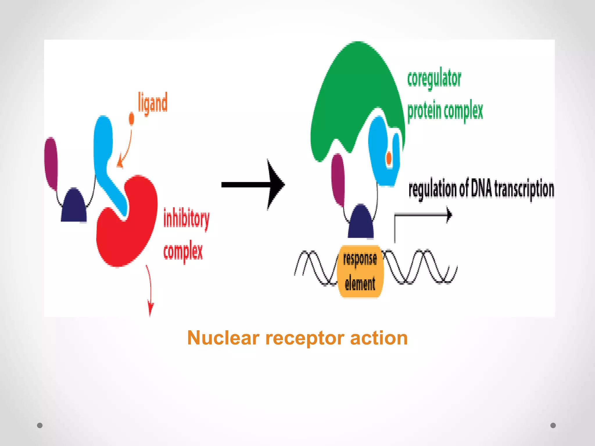 Trans membrane signaling | PPTX