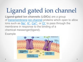 Trans membrane signaling | PPTX