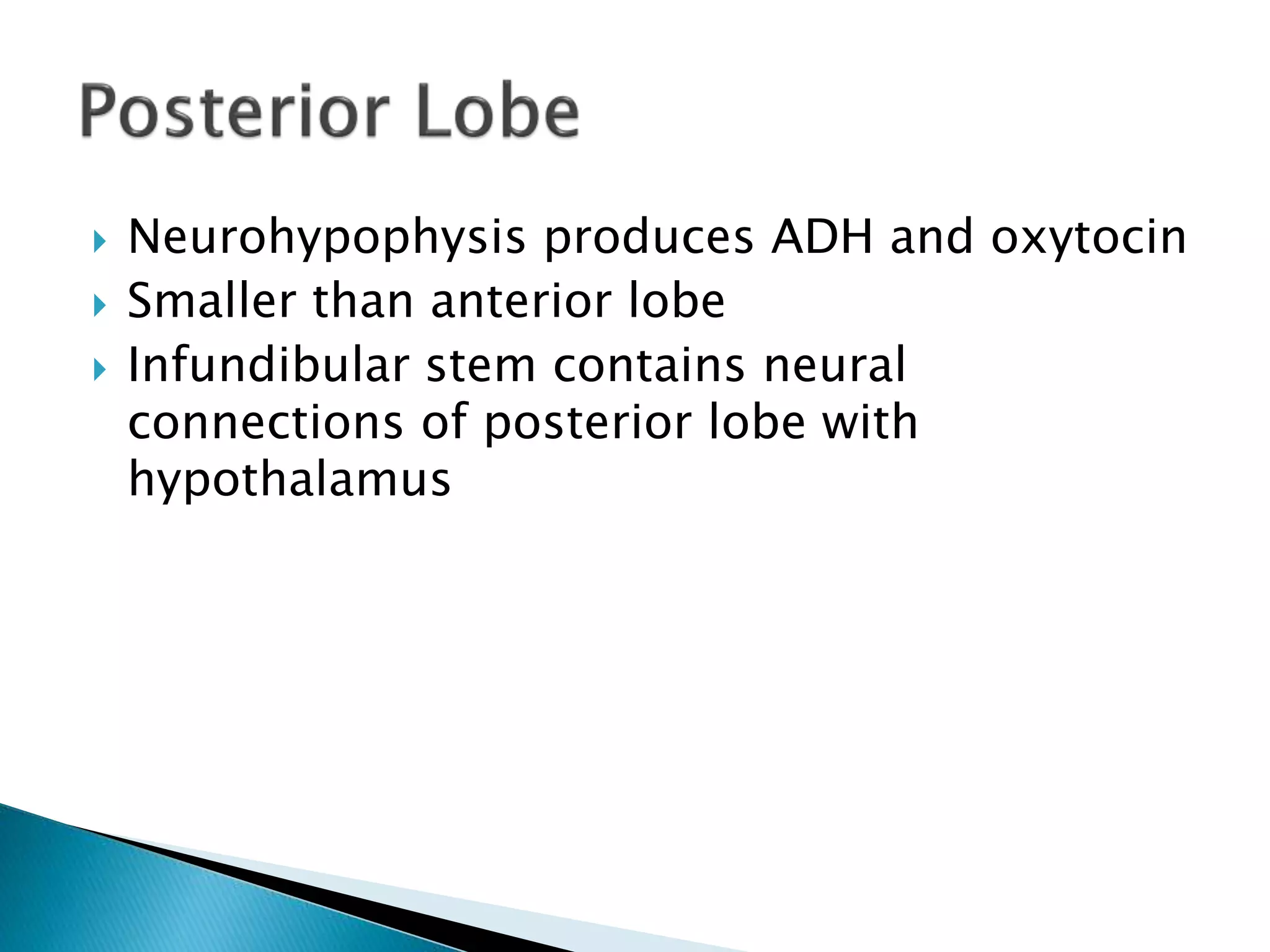 Trans sphenoid hypophysectomy | PPTX