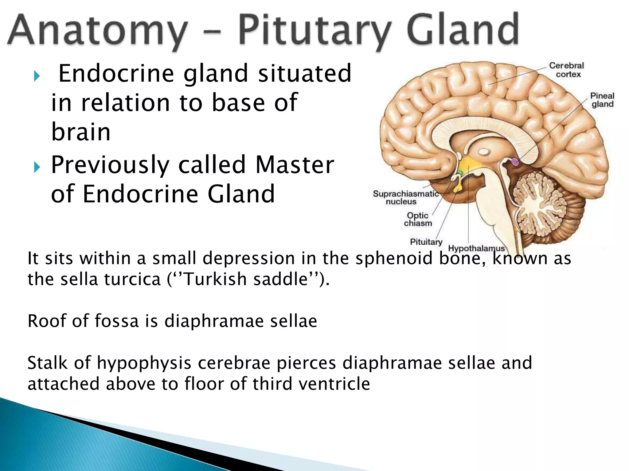 Trans sphenoid hypophysectomy | PPTX