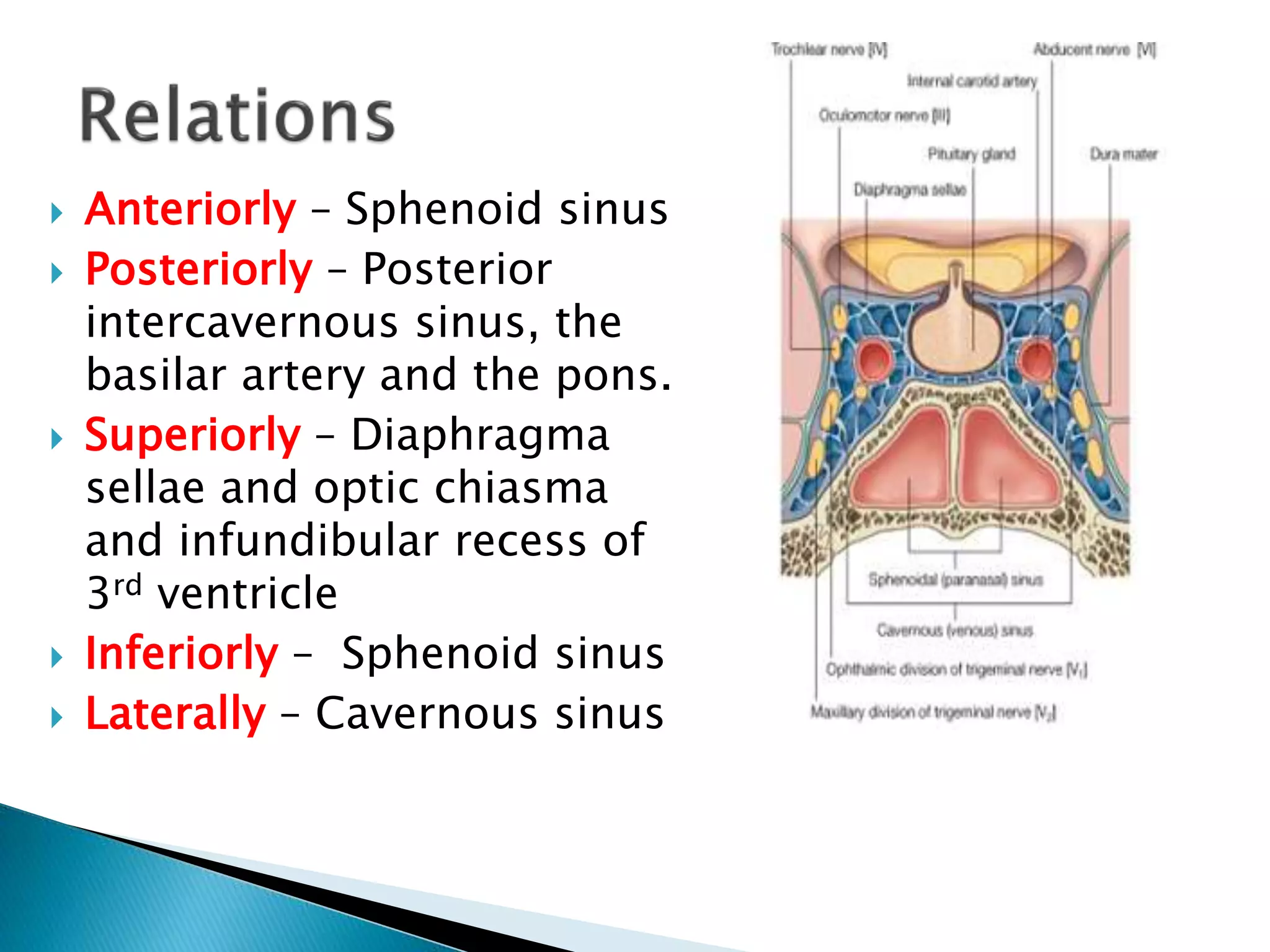 Trans sphenoid hypophysectomy | PPTX