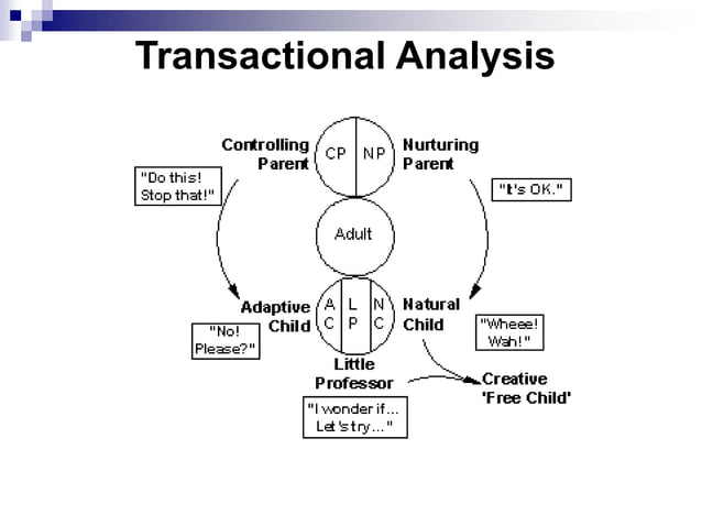 Transaction analysis | PPTX