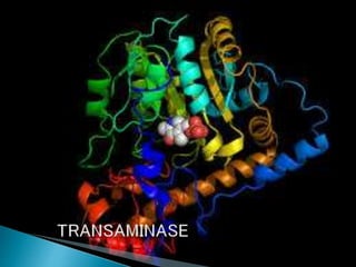 Transaminase | PPTX