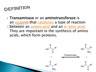 Transaminase | PPTX