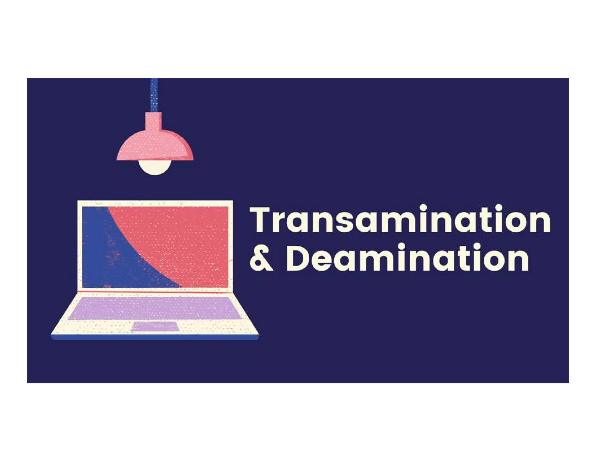 Amino acid metabolism | Transamination | Deamination | | PDF